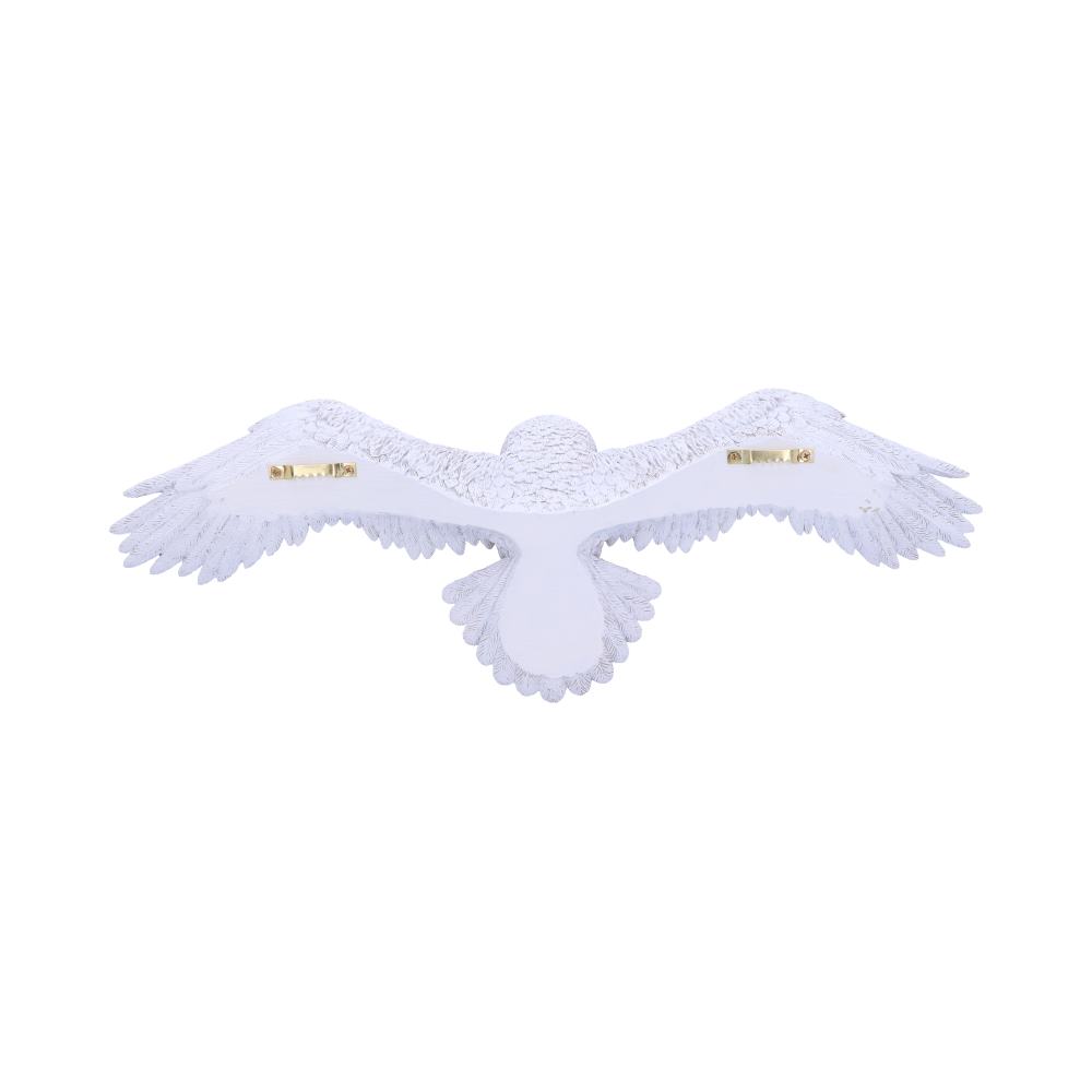 Harry Potter Hedwig Wall Plaque | Nemesis Now Wholesale Giftware