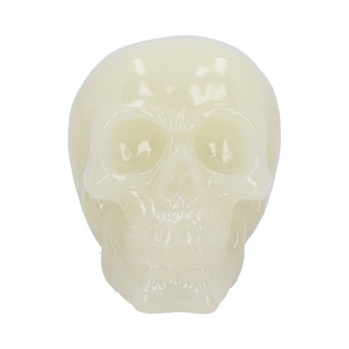 Phosphorescent (Medium) 13cm